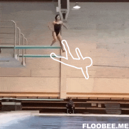 Capture the failed dive | Floobee 474/capture-the-failed-dive