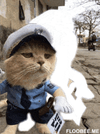 A cute kitty dressed as a policeman | Floobee