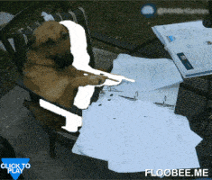 Dog Studying | Floobee
