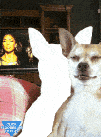 Dog Relaxing | floobee