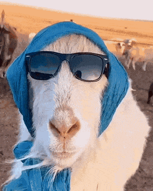 Goat with a scarf | Floobee